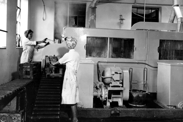 treebor, Chesterfield